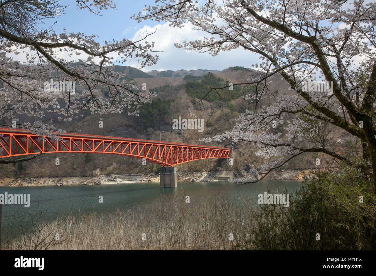 Kusaki Park, along Romantic Road, Japan Stock Photo - Alamy