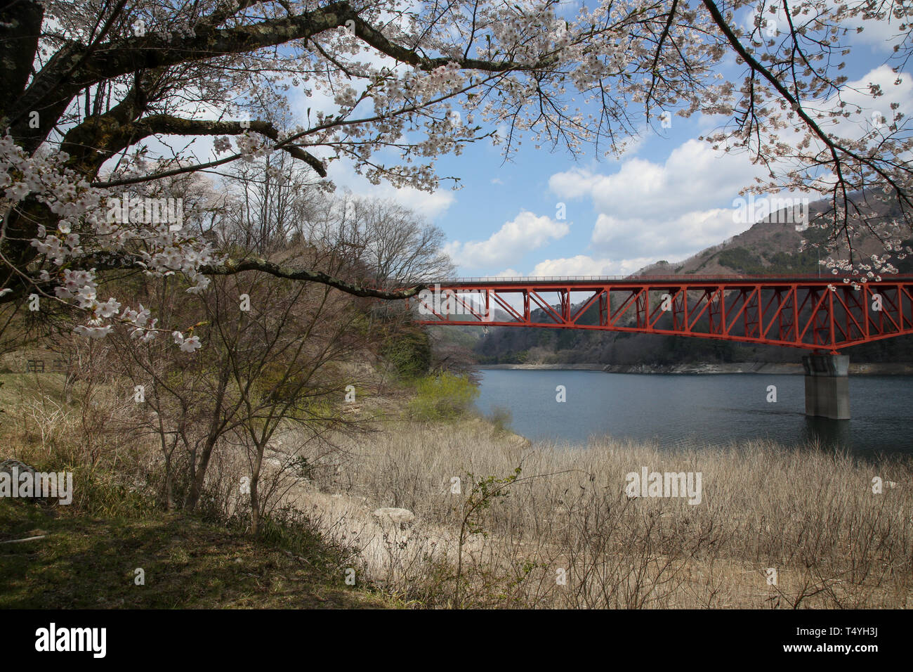Kusaki Park, along Romantic Road, Japan Stock Photo - Alamy