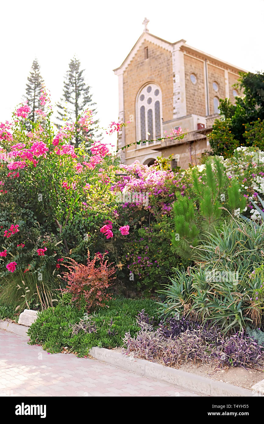 Latrun Trappist Monastery in Israel Stock Photo - Alamy
