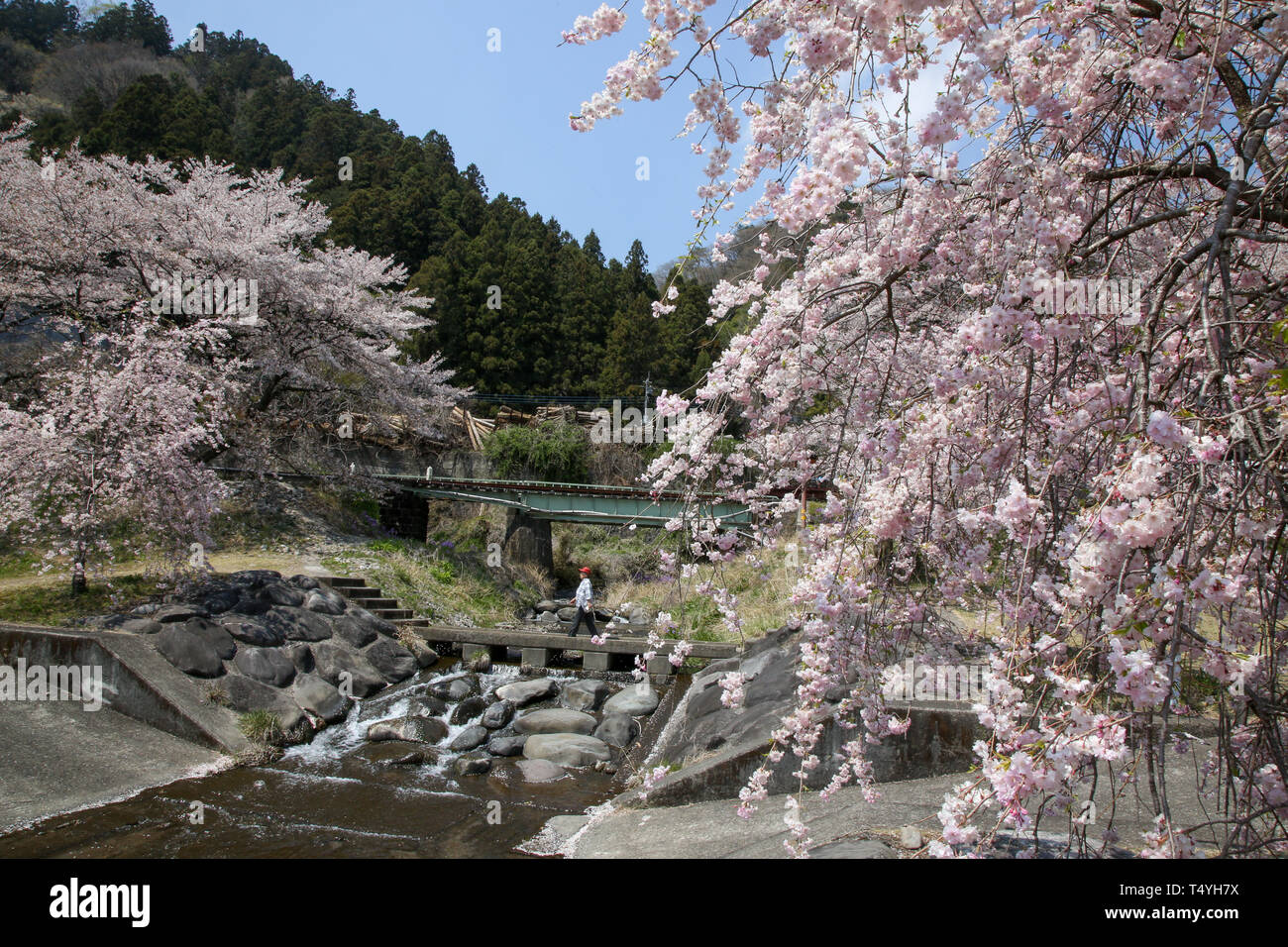 Gumma prefecture hi-res stock photography and images - Alamy