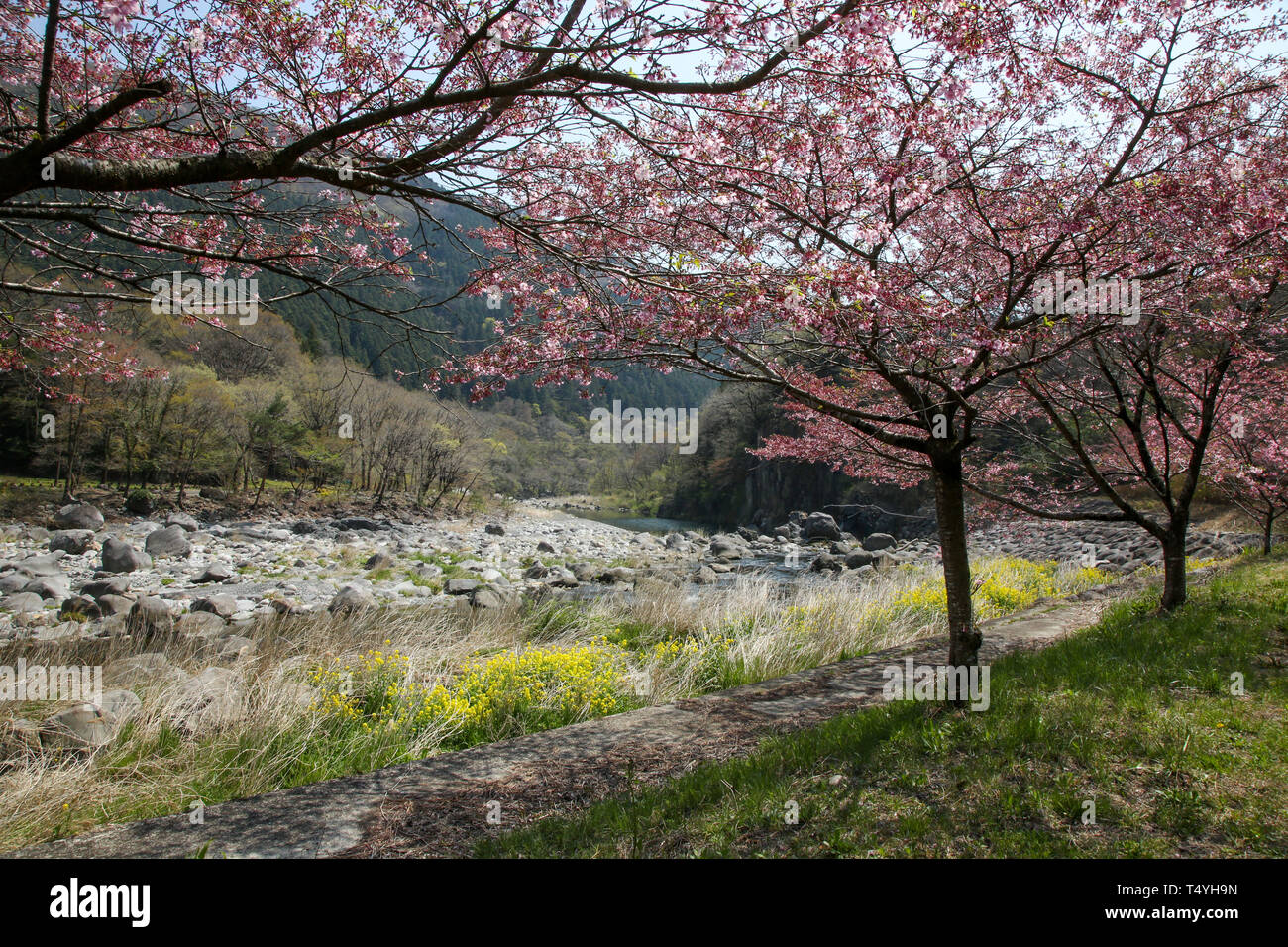 Park in Gumma prefecture, Japan Stock Photo - Alamy