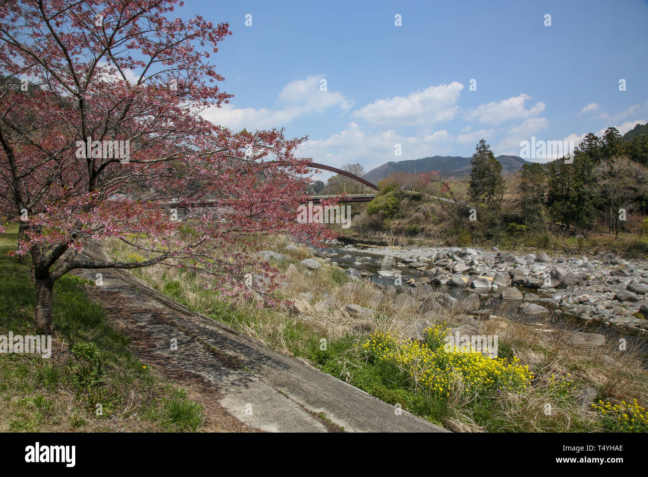 Park in Gumma prefecture, Japan Stock Photo - Alamy