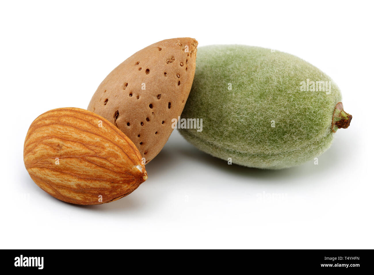 Dry and green almonds isolated on white background Stock Photo - Alamy