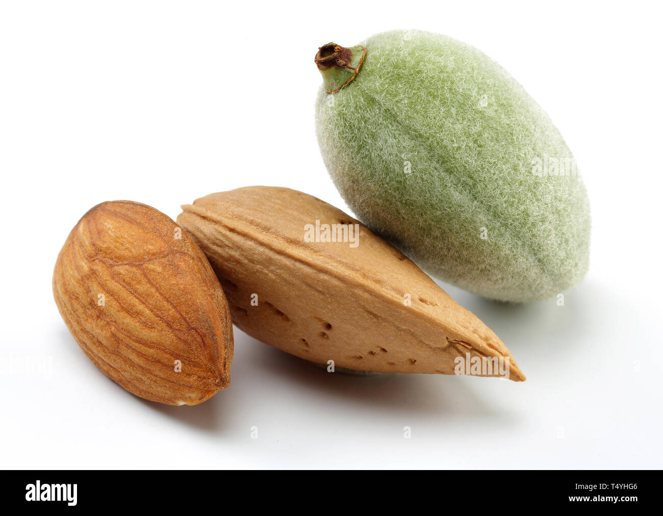 Dry and green almonds isolated on white background Stock Photo - Alamy