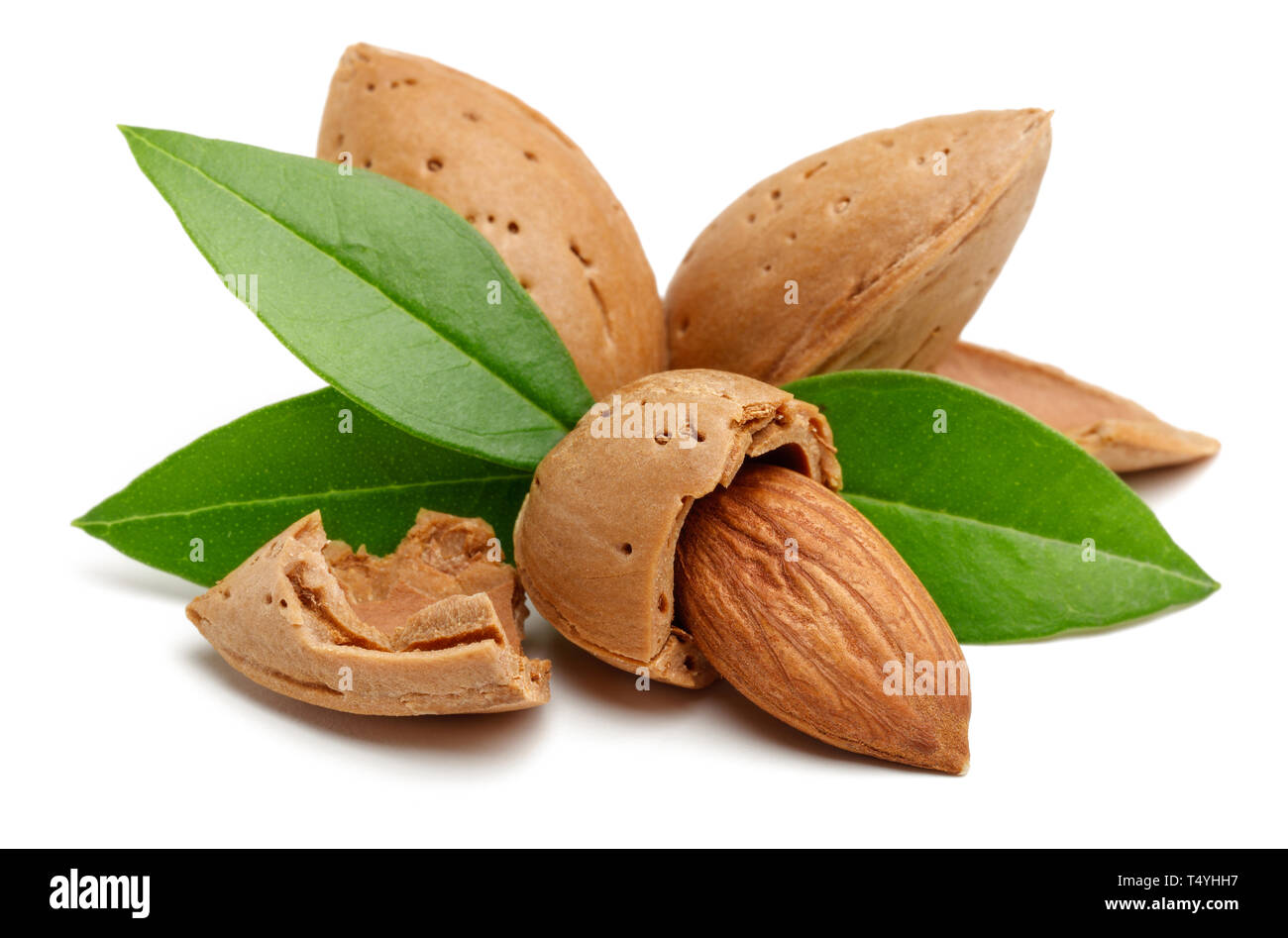 Almonds with leaves isolated on white background Stock Photo - Alamy