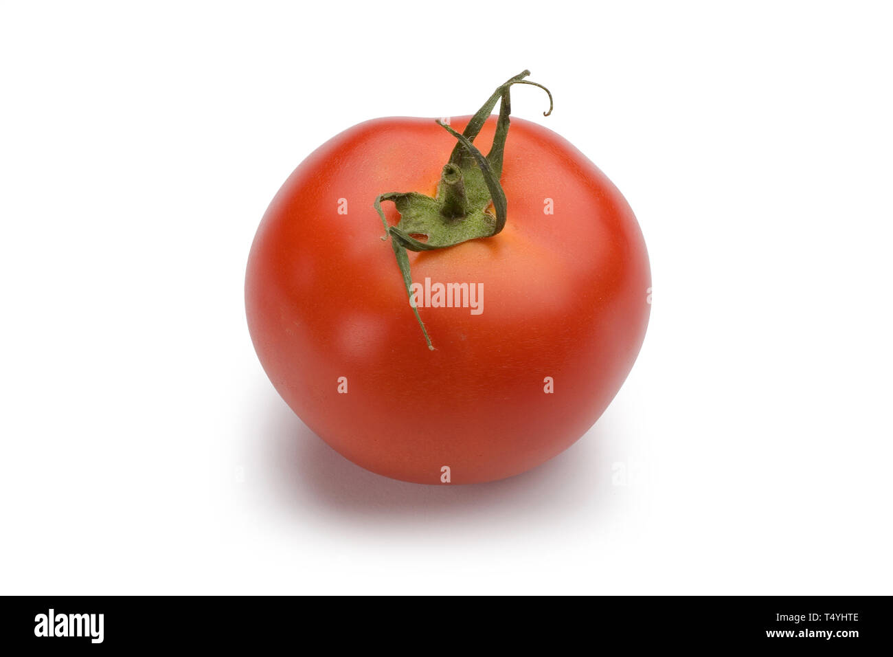 Fresh single tomato isolated on white background Stock Photo - Alamy