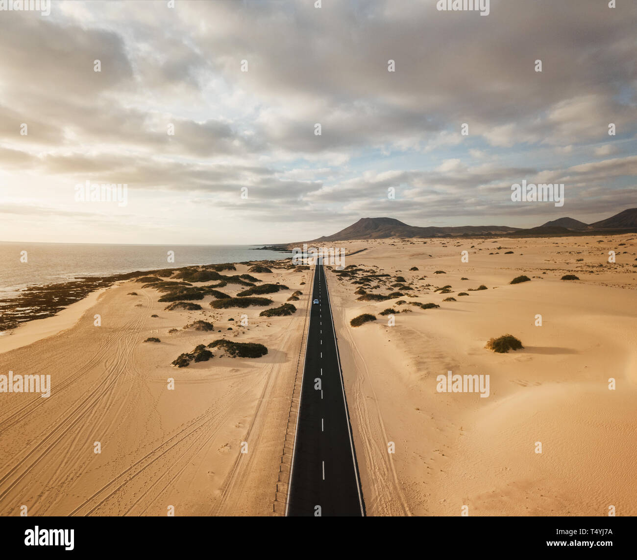 Aerial view of an empty road through the dunes at the sunrise with copy ...