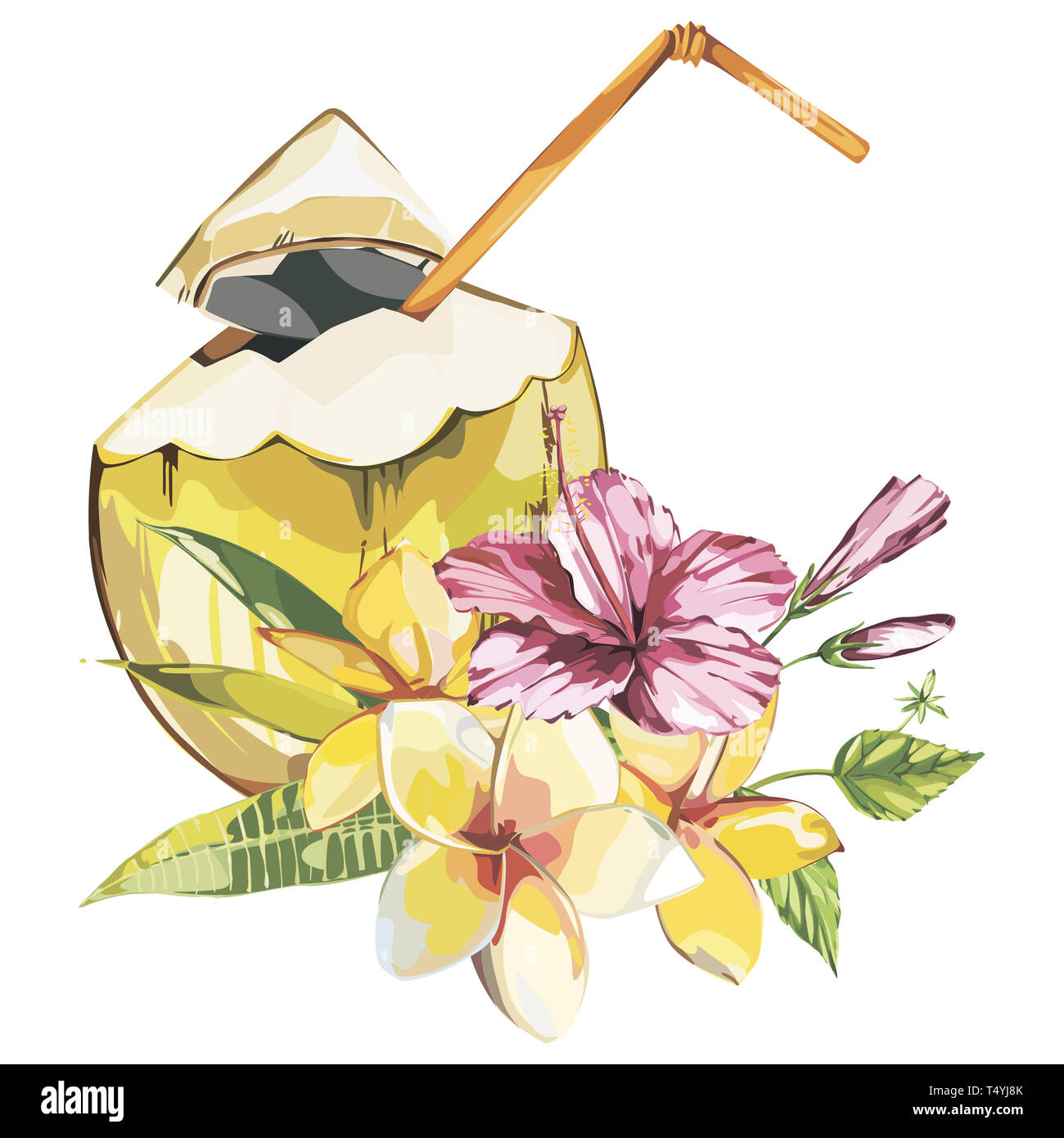 Coconut hand drawn sketch with plumeria and a pink hibiscus flowers ...