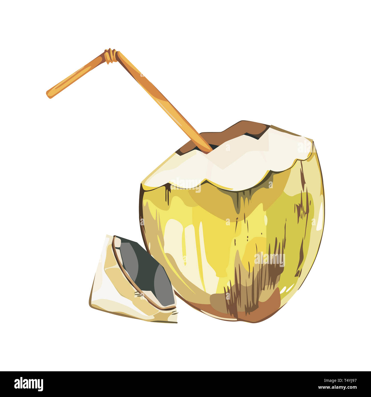 Coconut hand drawn sketch with strelitzia flowers. Watercolor tropical ...