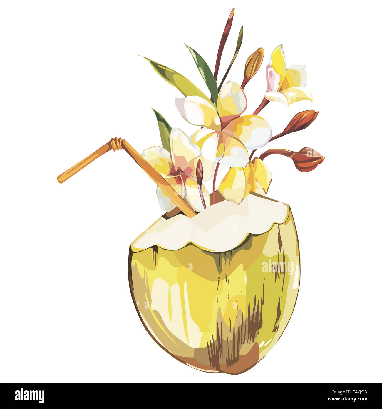 Coconut hand drawn sketch with plumeria flowers. Watercolor tropical ...