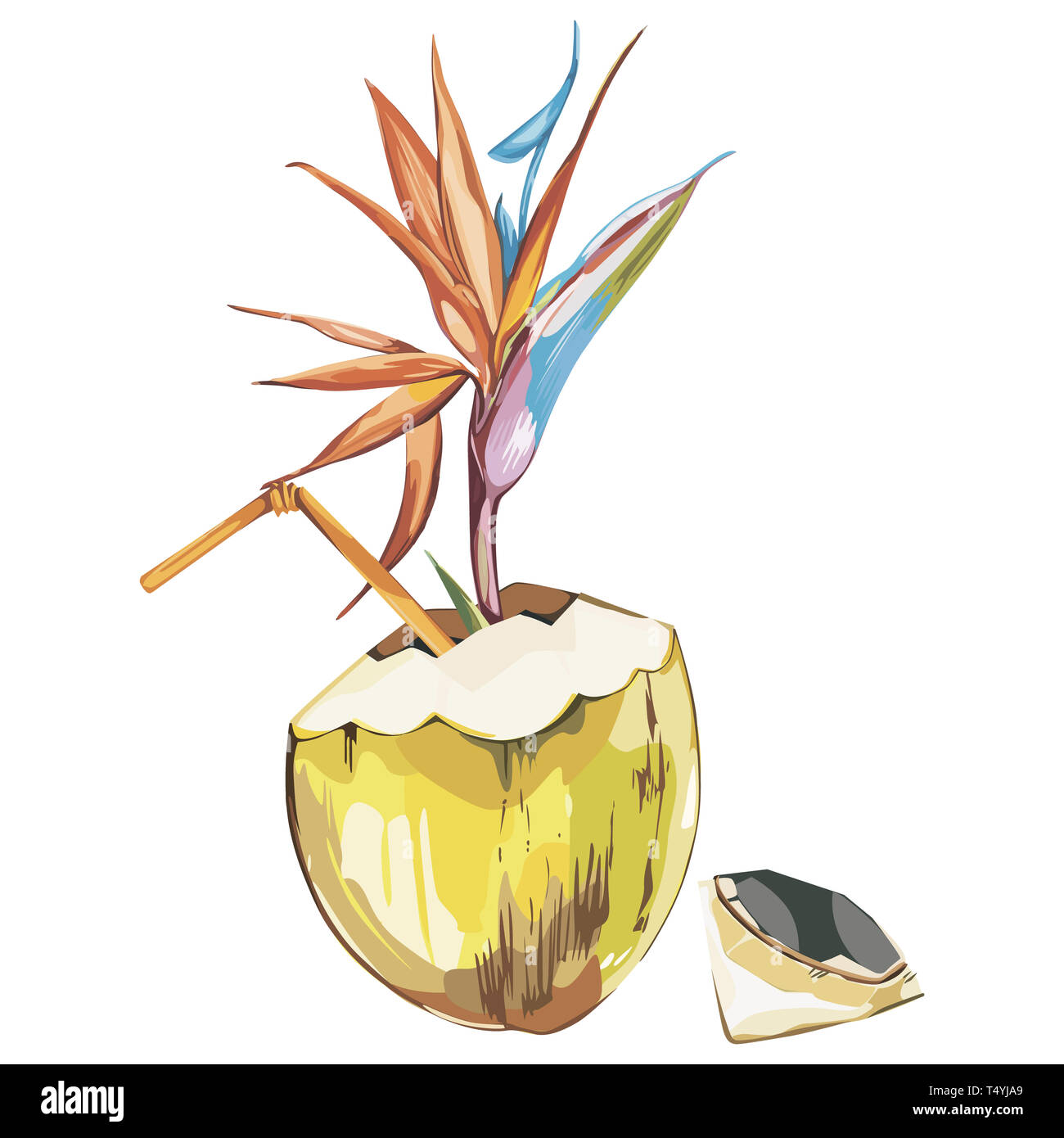 Coconut hand drawn sketch with strelitzia flowers. Watercolor tropical ...