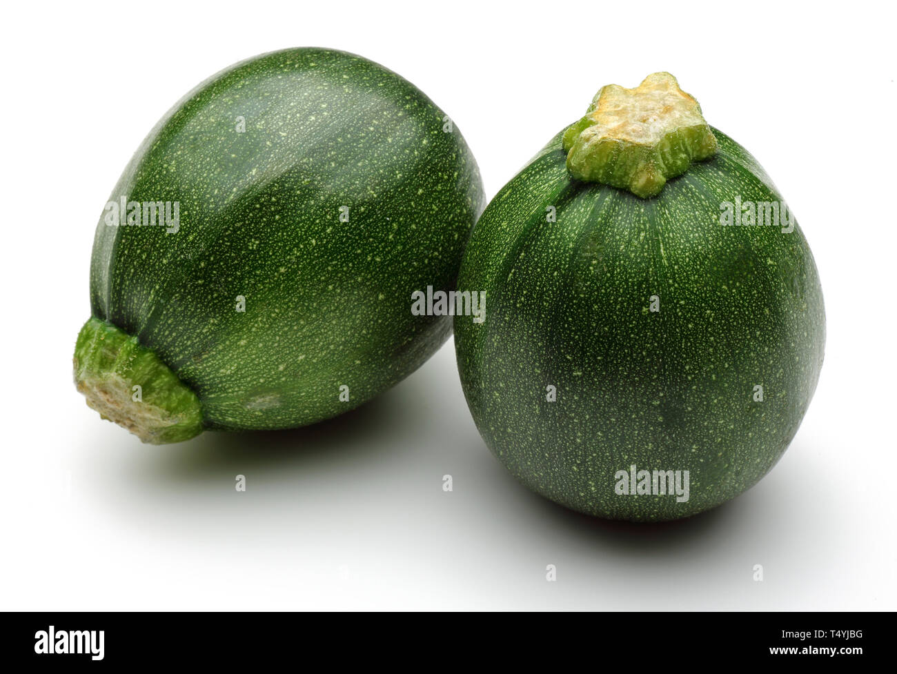 Green round zucchini isolated on white background Stock Photo - Alamy