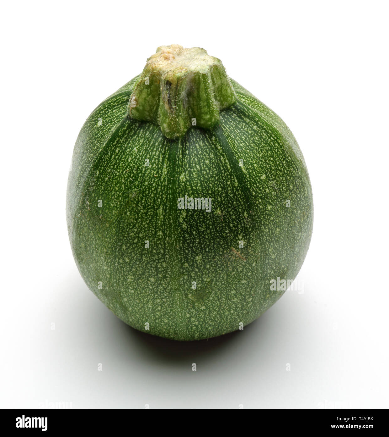 Green round zucchini isolated on white background Stock Photo - Alamy