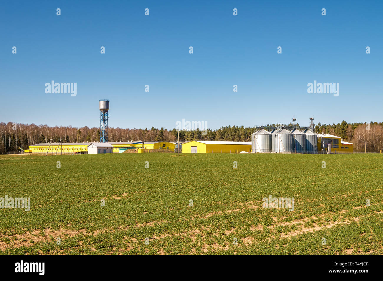 agro-processing plant for processing and silos for drying cleaning and ...