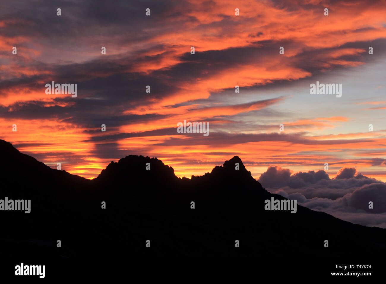 Scenic view from Pico el Águila at 4118 metres above the sea level in ...
