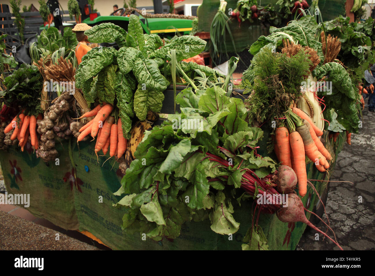 Bananas venezuela hi-res stock photography and images - Alamy