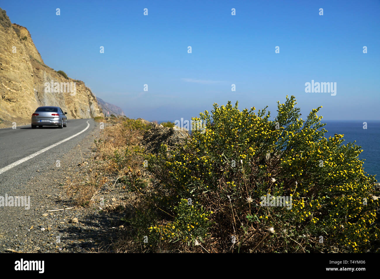 Road tripping with a view hi-res stock photography and images - Alamy