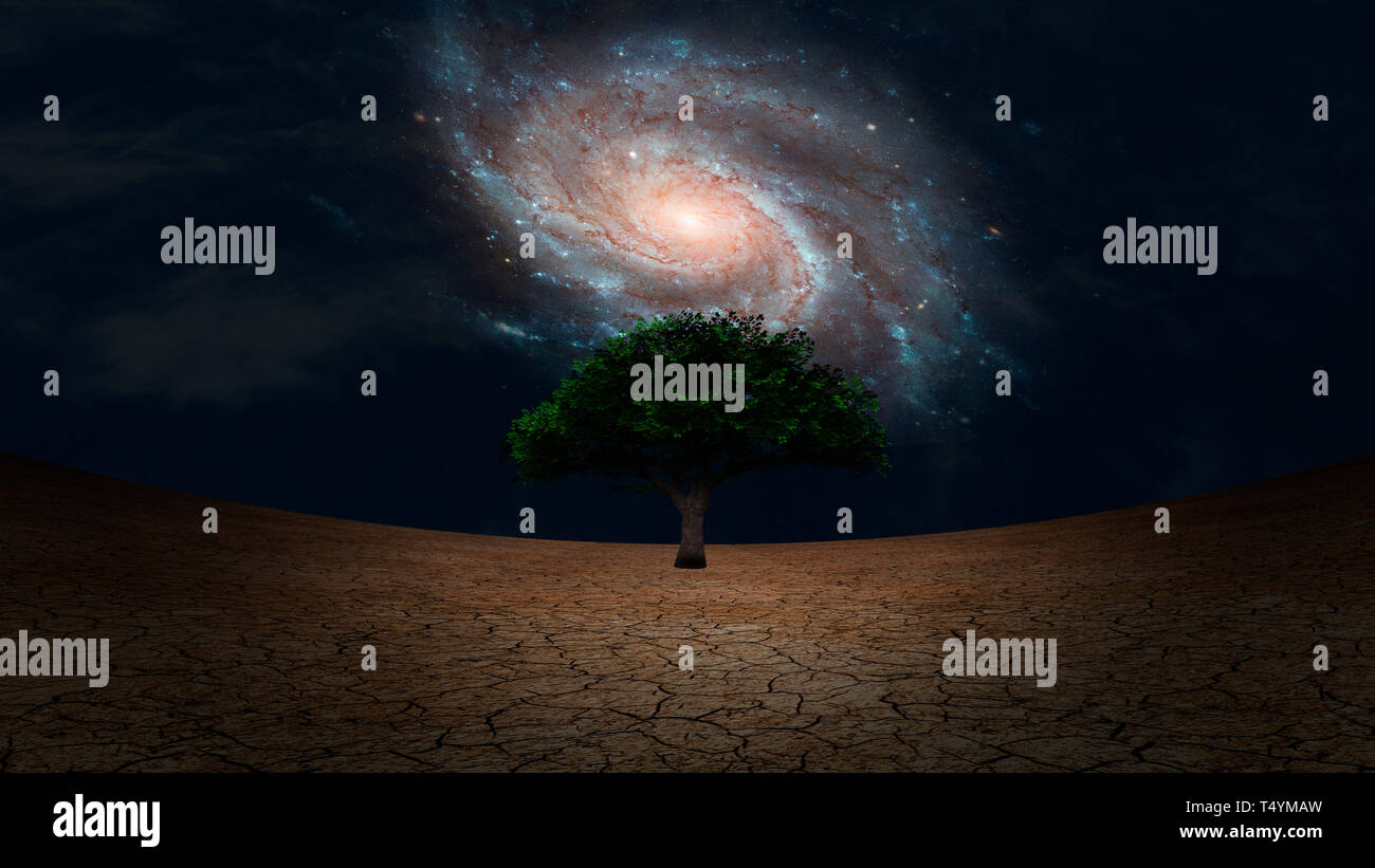 Green tree in arid land with Galaxy in night sky Stock Photo - Alamy