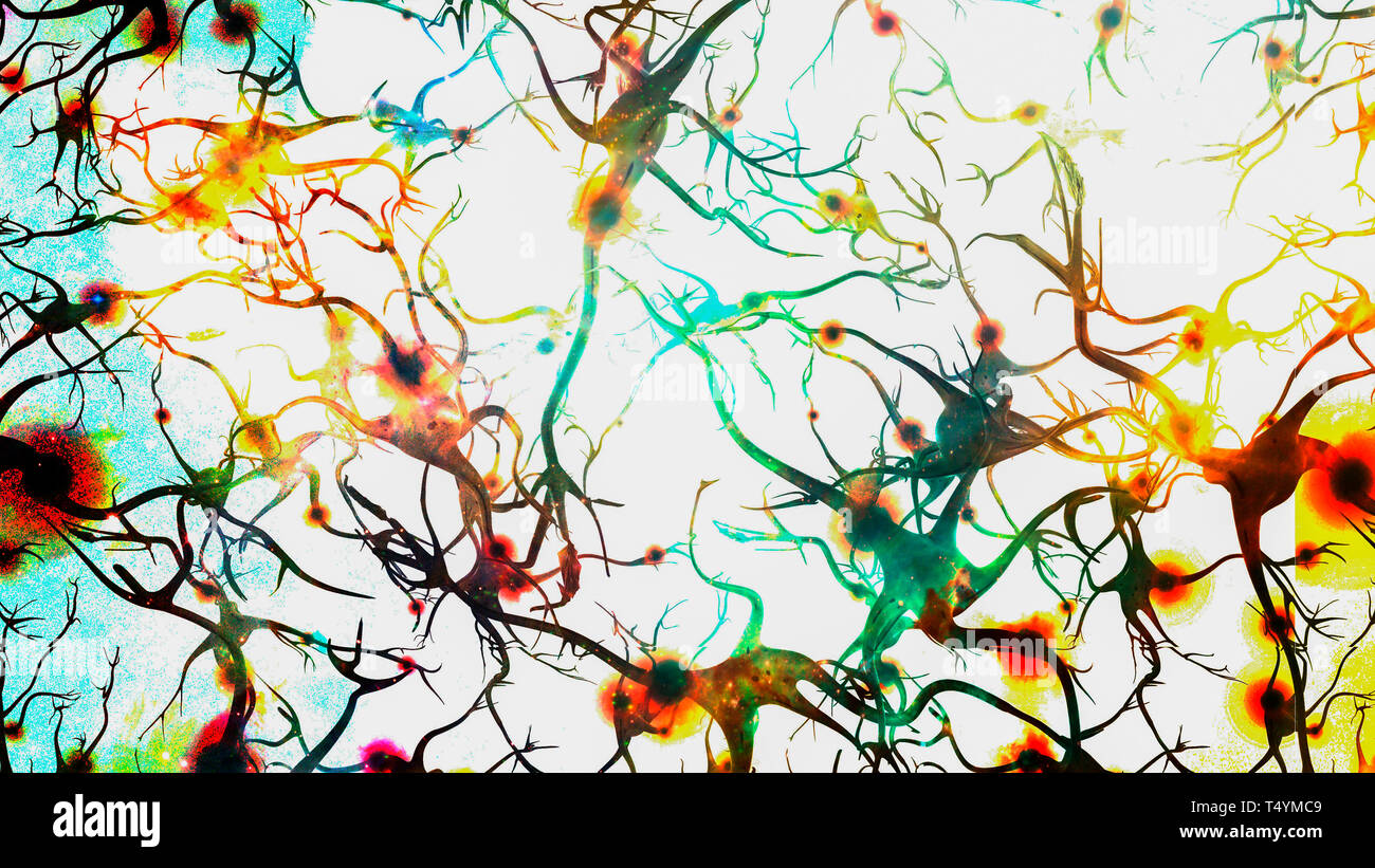 Brain cells hi-res stock photography and images - Alamy