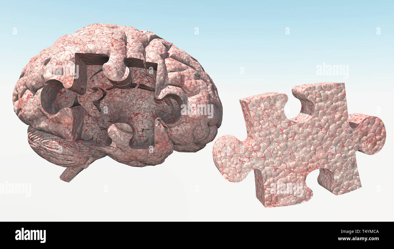 Brain puzzle hi-res stock photography and images - Alamy