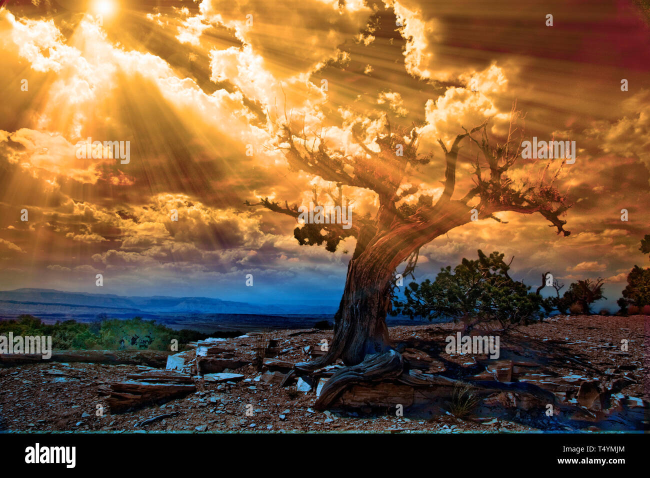Light streams into rocky desert scene Stock Photo - Alamy