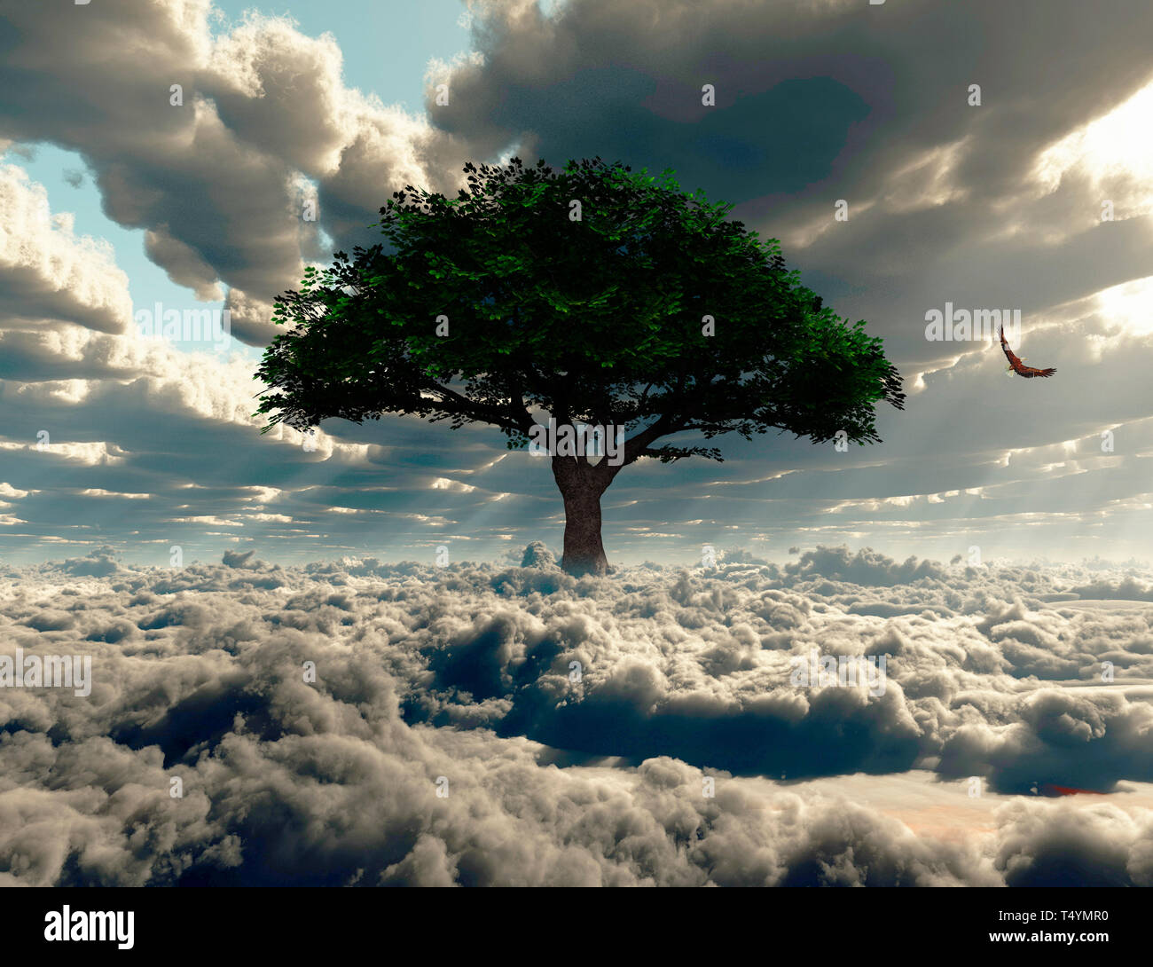 3d cloud tree hi-res stock photography and images - Alamy