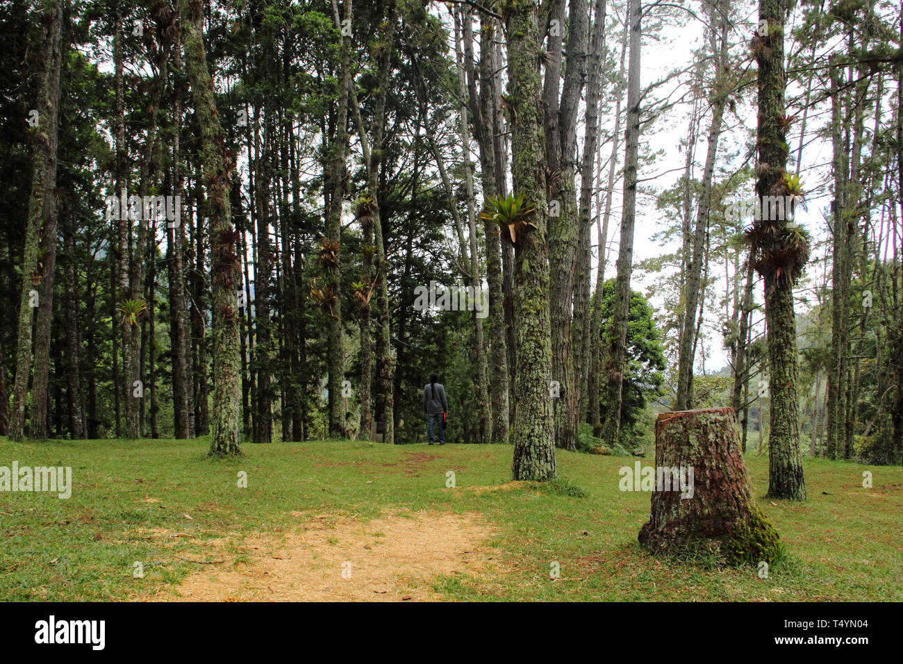 People walking venezuela hi-res stock photography and images - Alamy