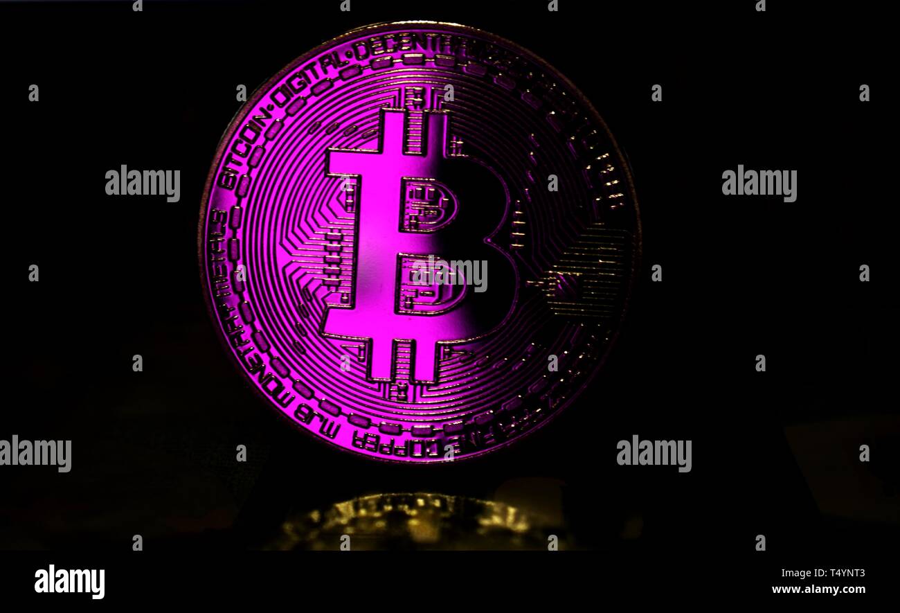 Pink Bitcoin BTC coin is surrounded by a gloomy background. Framed in ...