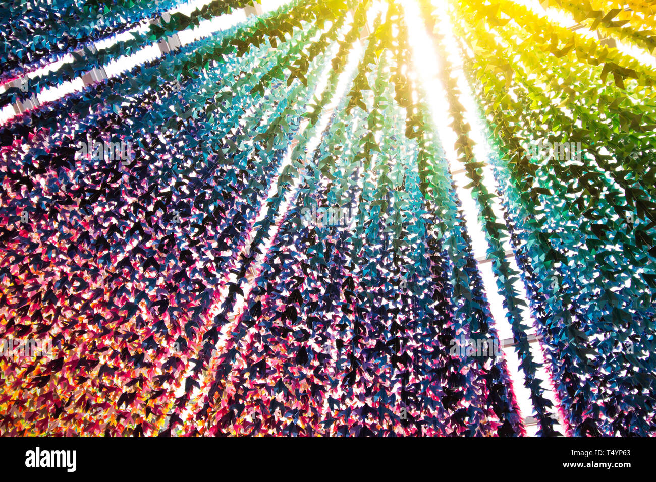 Colorful paper birds hanging together on sunlight through window ...