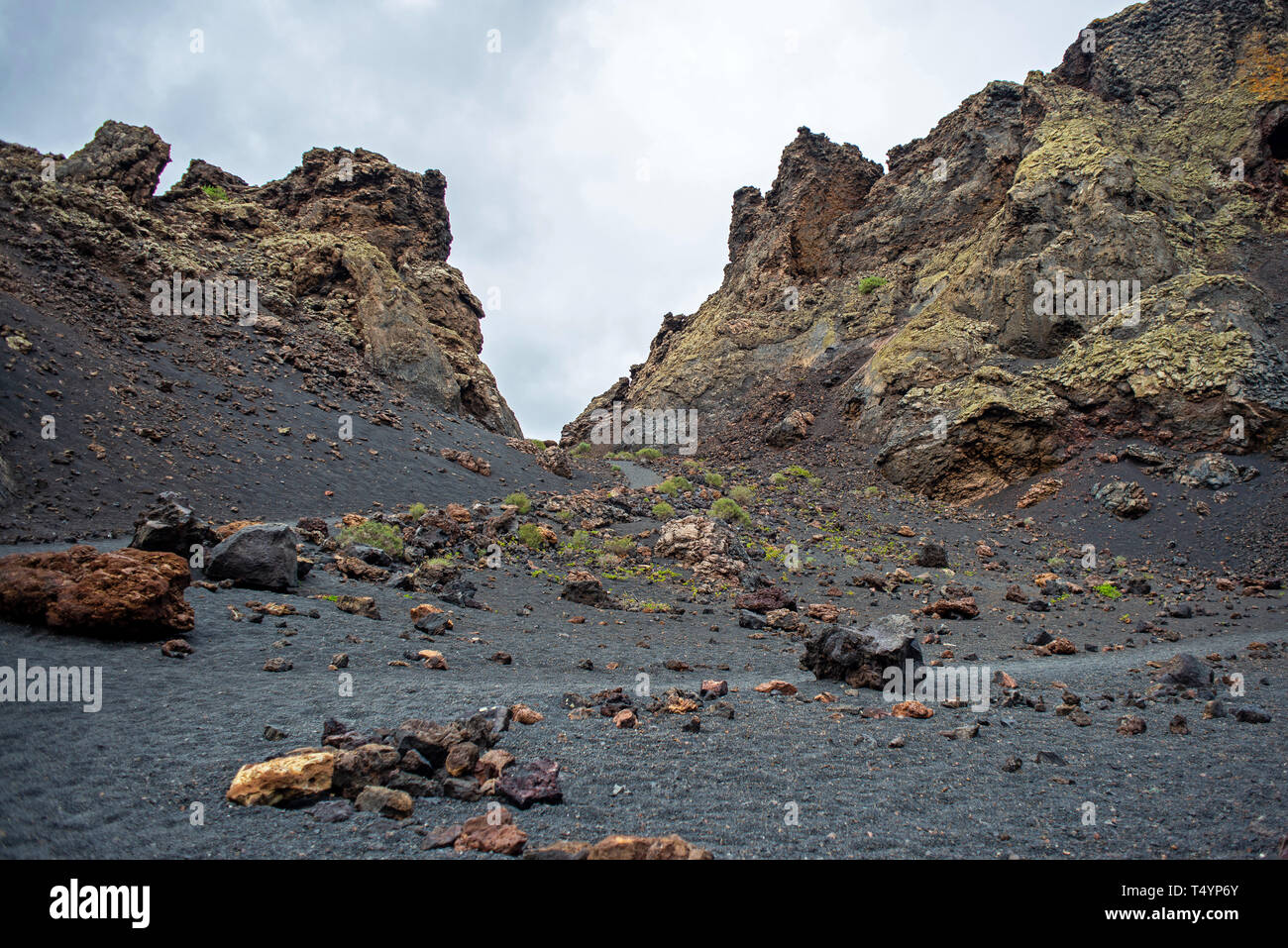 Inside the crater of an extinct volcano on the island of Lanzarote ...