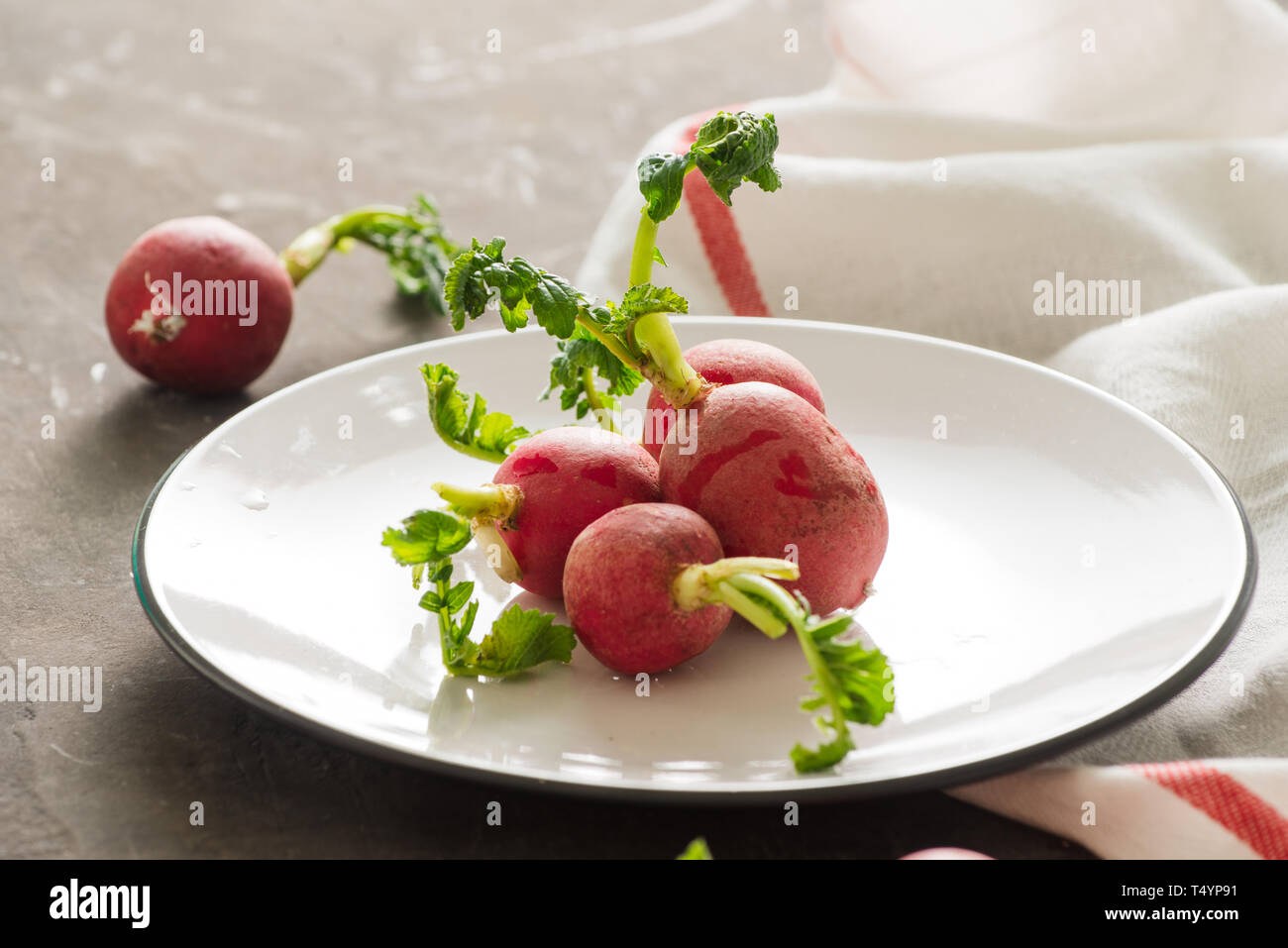 Summer harvest red radish. Growing organic vegetables. Raw fresh juicy ...