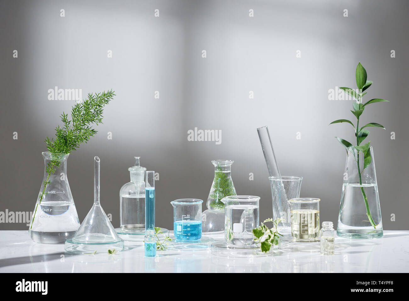 laboratory experiment and research with leaf, oil and ingredient ...