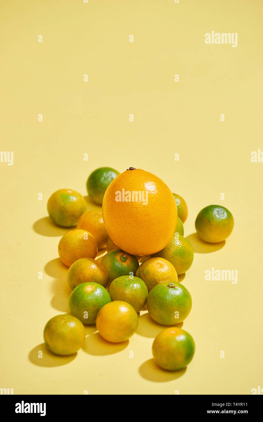 Citrus fruits are on a light yellow background. Kumquat, lemon ...