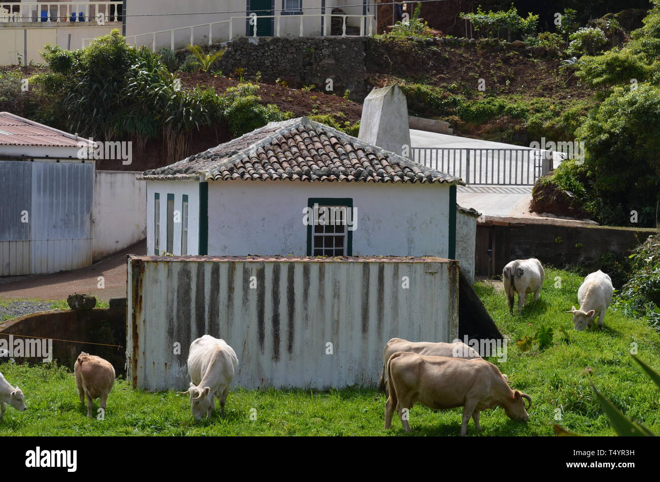 Traditional houses and rural landscapes in Santo Espirito, a small ...