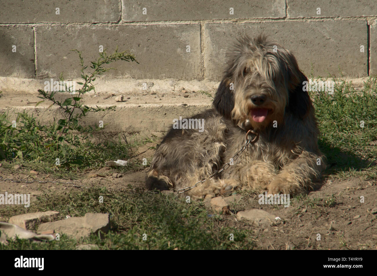 Breezeblock wall hi-res stock photography and images - Alamy