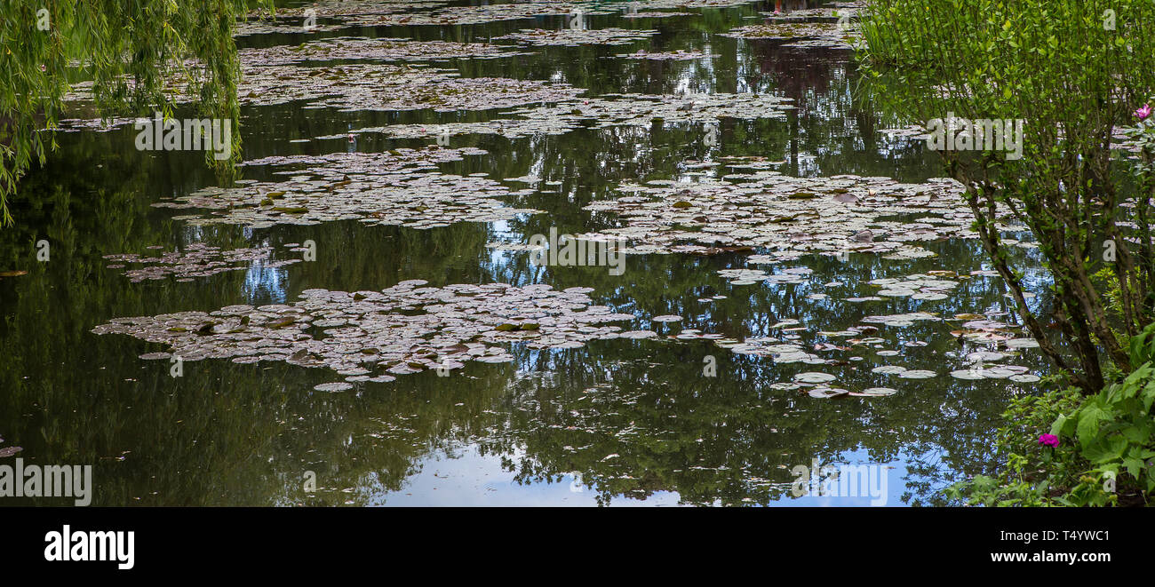Pond, trees, and waterlilies in a french botanical garden Stock Photo ...