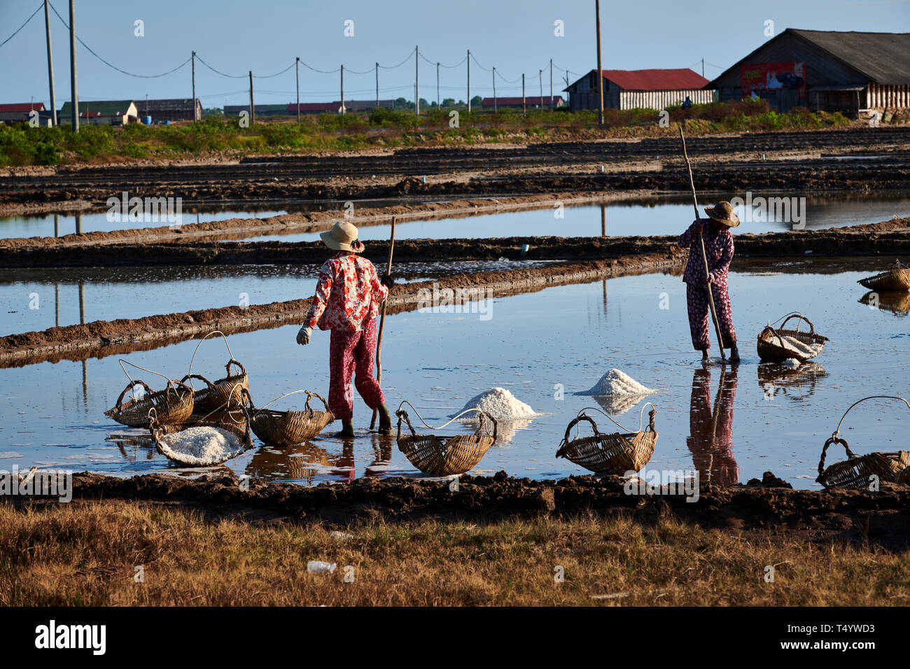 Traditional Cambodian Salt Farming Stock Photo - Alamy