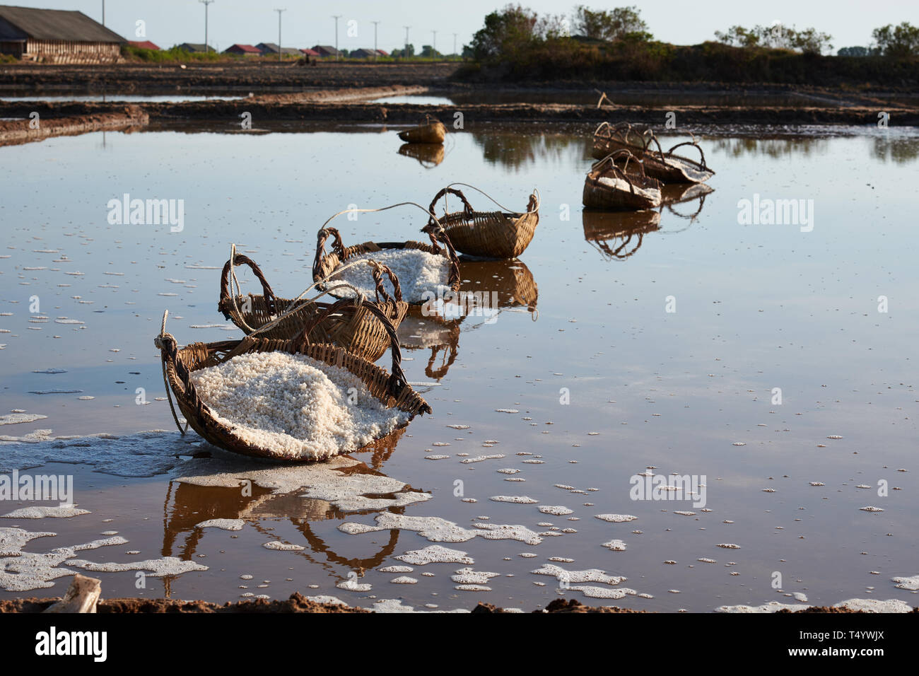 Traditional Cambodian Salt Farming Stock Photo - Alamy