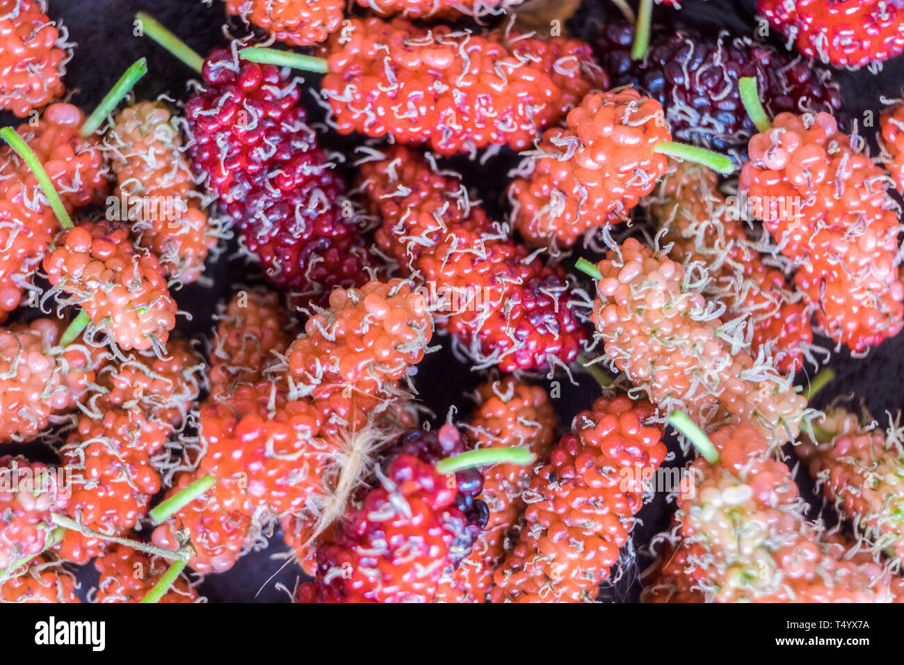 Overlap pattern hi-res stock photography and images - Alamy