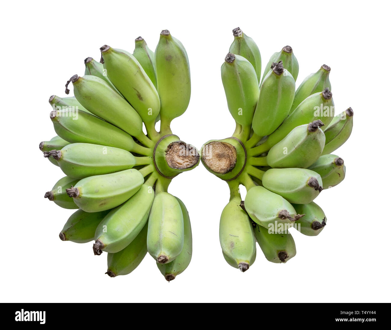 Banana unripe two bunch,isolated on background Stock Photo - Alamy