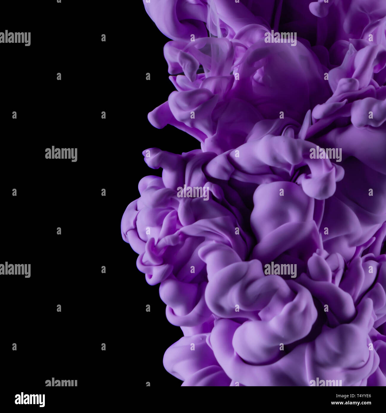 Purple ink hi-res stock photography and images - Alamy