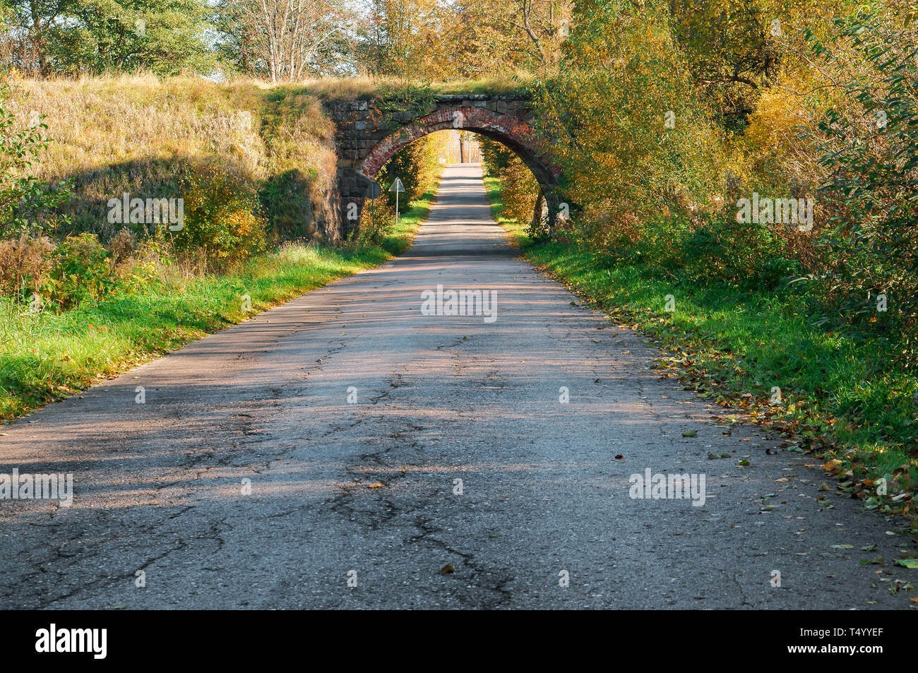 Trees along road in arch hi-res stock photography and images - Alamy