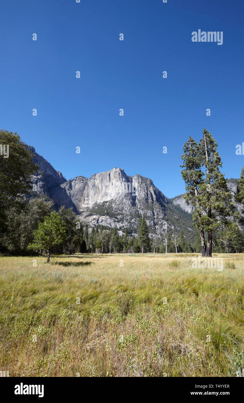 Cathedral rocks yosemite valley hi-res stock photography and images - Alamy
