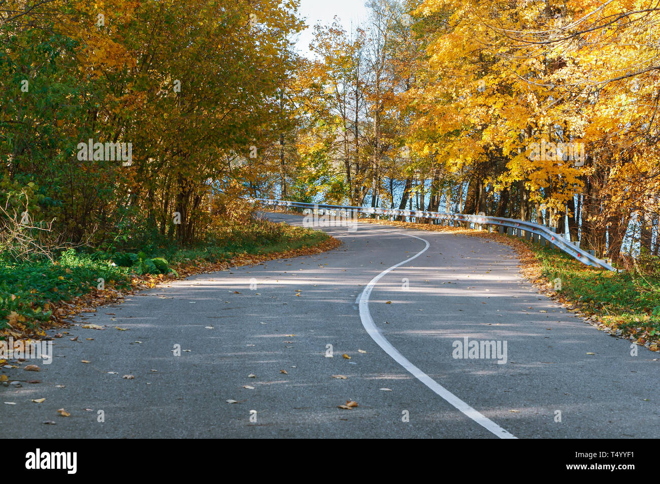 Tunnel Autumn Road High Resolution Stock Photography and Images - Alamy