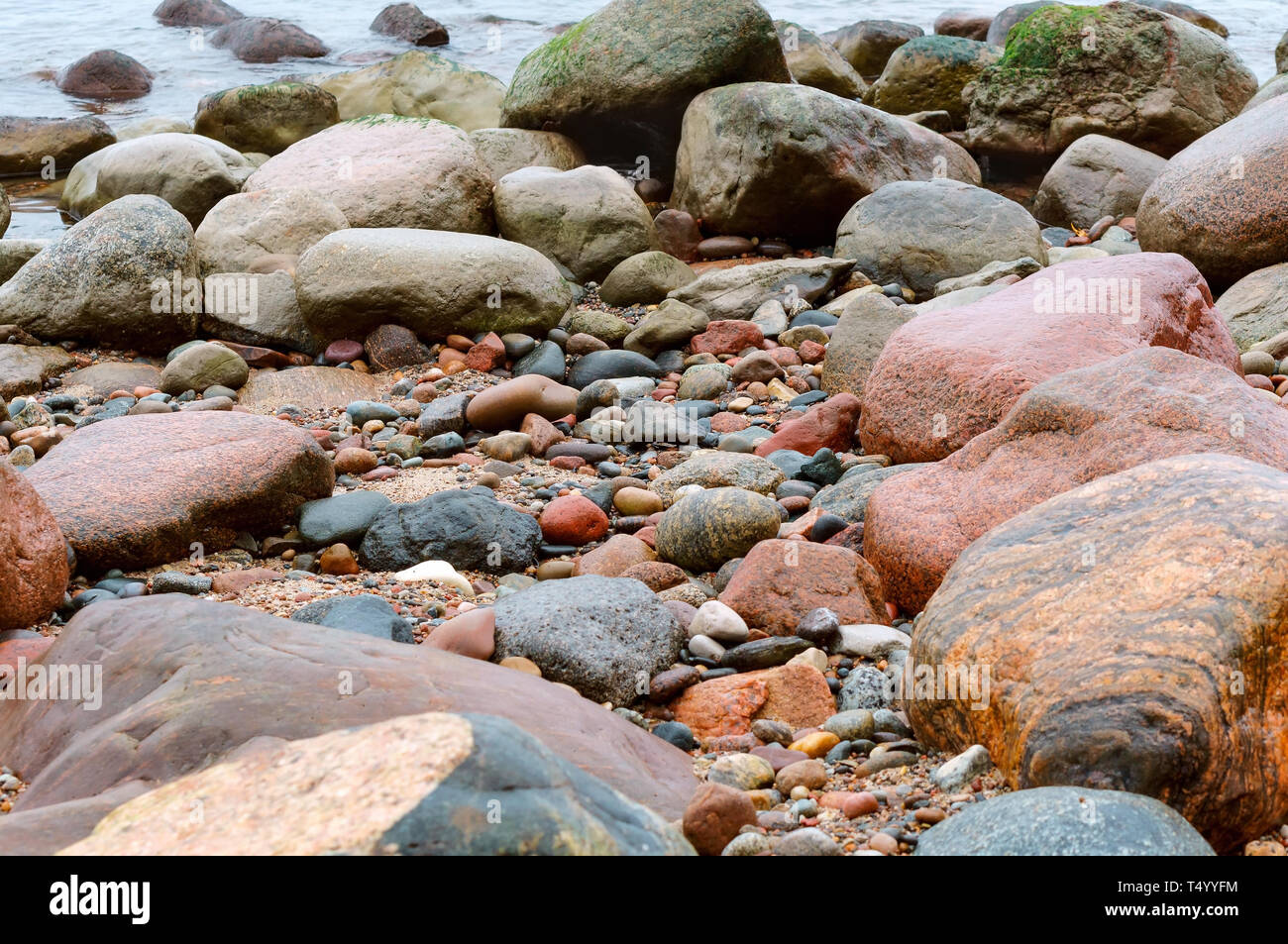 the background of sea stone, the texture of the stone Stock Photo - Alamy