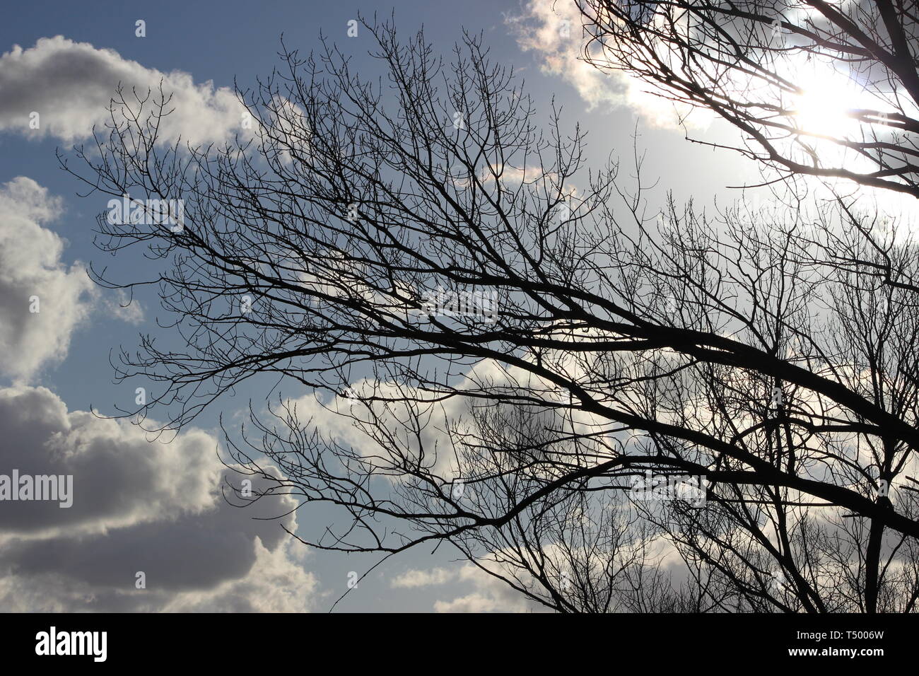 Particolare hi-res stock photography and images - Alamy