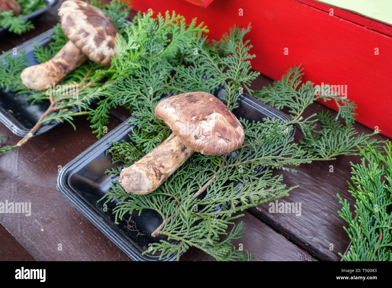 White matsutake hi-res stock photography and images - Alamy