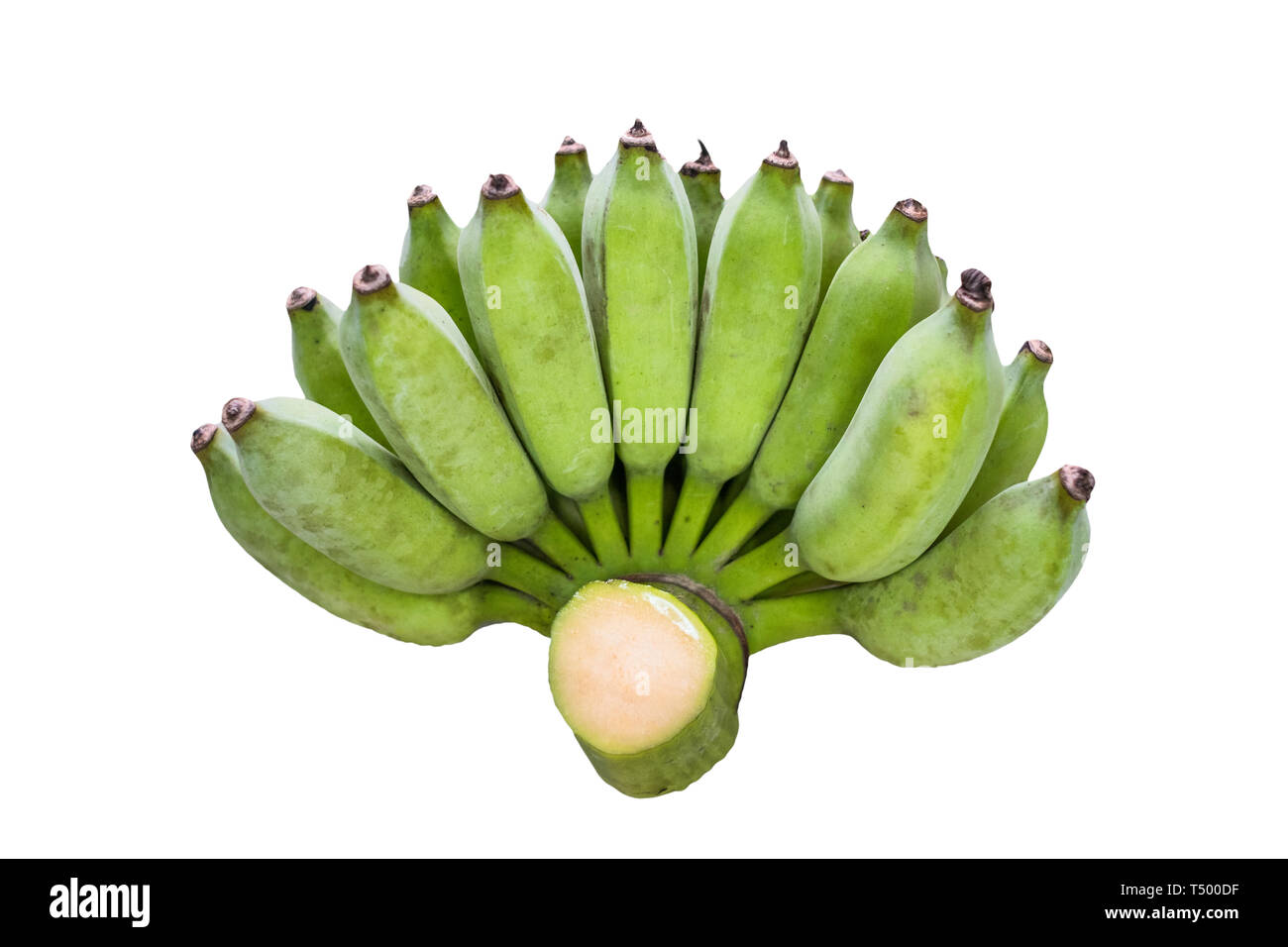 Banana unripe one bunch on white background Stock Photo - Alamy