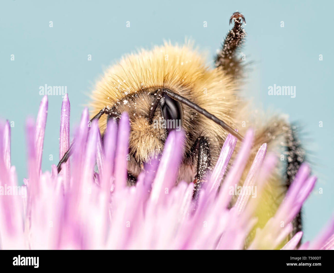 Wave Hello Stock Photos & Wave Hello Stock Images - Alamy