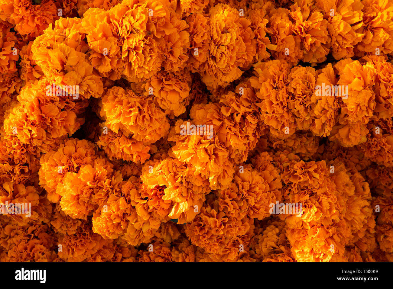 Durban, South Africa, 19th April 2019. Durban's 2019 Festival of ...